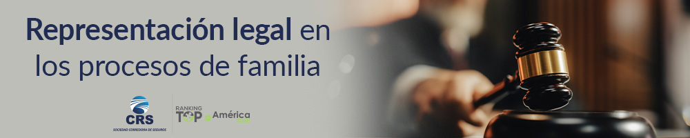 Representación legal en los procesos de familia.
